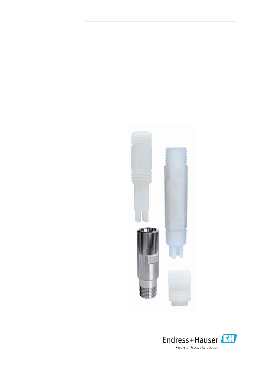 Endres+Hauser BA Ecofit CPA640 取扱説明書